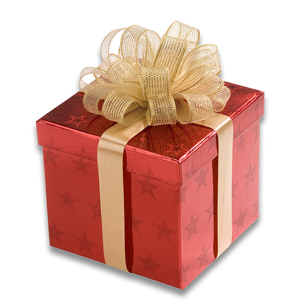 Christmas and Birthday Gift Ideas for Those Who Have Everything